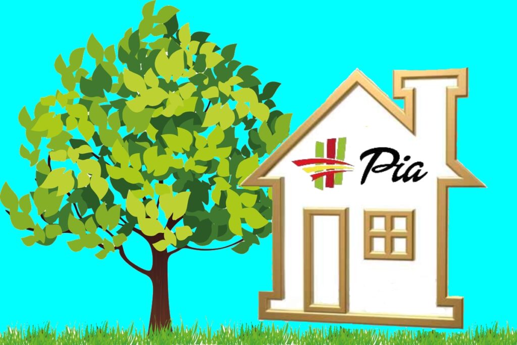 Plan Local d’Urbanisme (PLU) – Portail Urbanisme – Ville de Pia